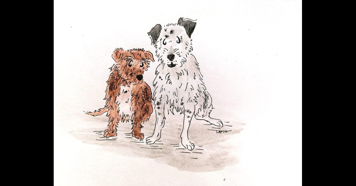 About – Digla Illustration and Felting